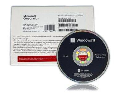 Windows 11 Professional DVD License Key - Keys-Shop